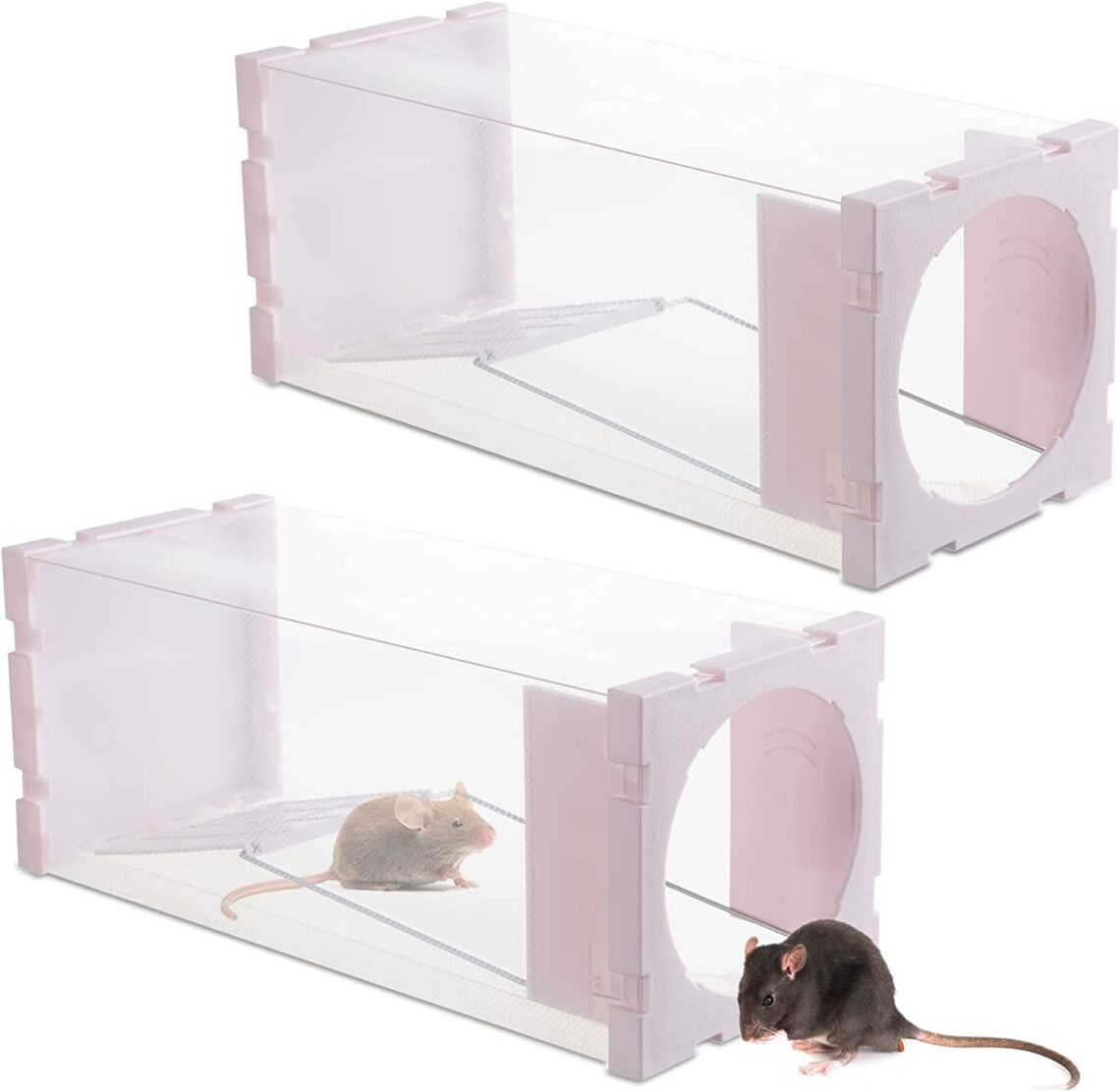 10+ Best Mouse Traps – The Most Effective Traps on the Market [2019]